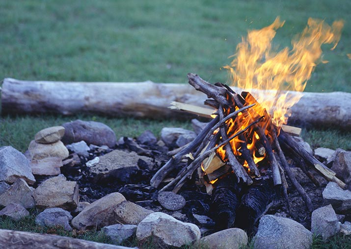 Canadian Wildlife Federation: Discover 2026 Girl Guides Nova Scotia Camp