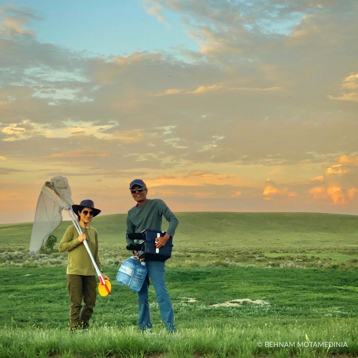 Canadian Wildlife Federation: Native Prairie Grassland Conservation