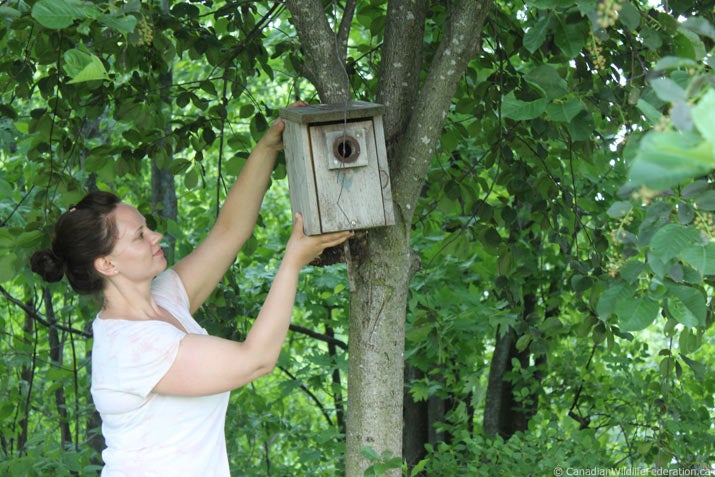 Fédération canadienne de la faune - Boîtes-nichoirs et dortoirs