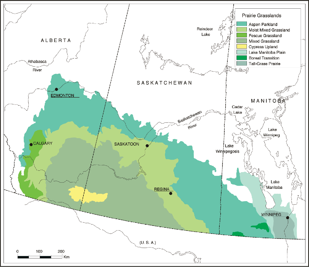 Canadian Wildlife Federation: Native Prairie Grassland Conservation