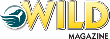 Canadian Wildlife Federation: WILD’s Kids Photo Contest