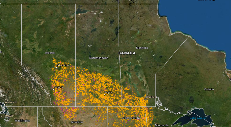 Canadian Wildlife Federation: Native Prairie Grassland Conservation