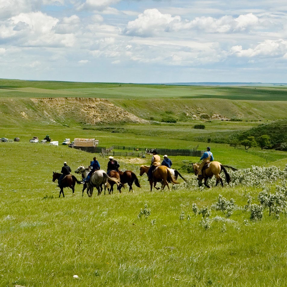 Canadian Wildlife Federation: Native Prairie Grassland Conservation