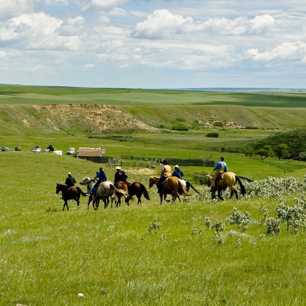 Canadian Wildlife Federation: Native Prairie Grassland Conservation