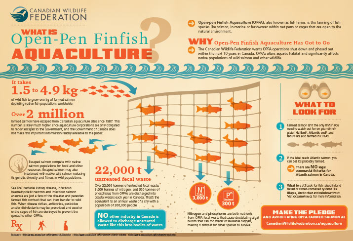 Canadian Wildlife Federation: Our stance on aquaculture